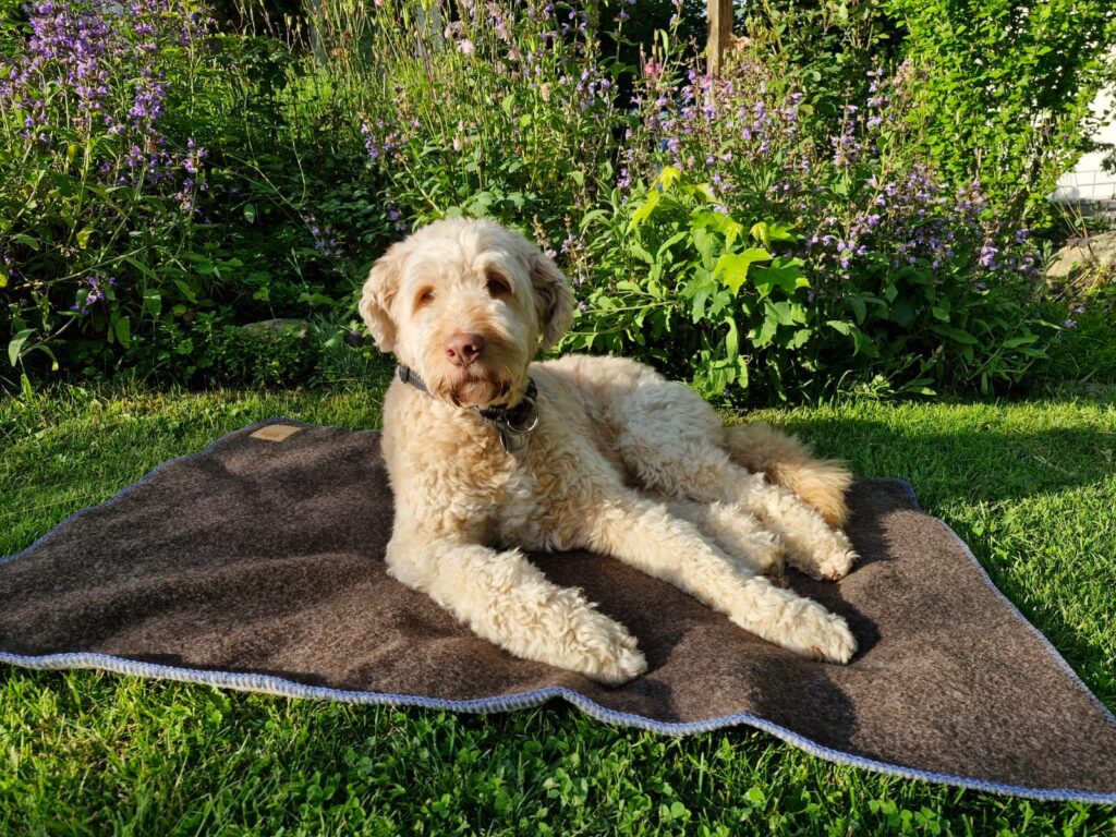 Shop - Webshop Gebrüder Mehler GmbH